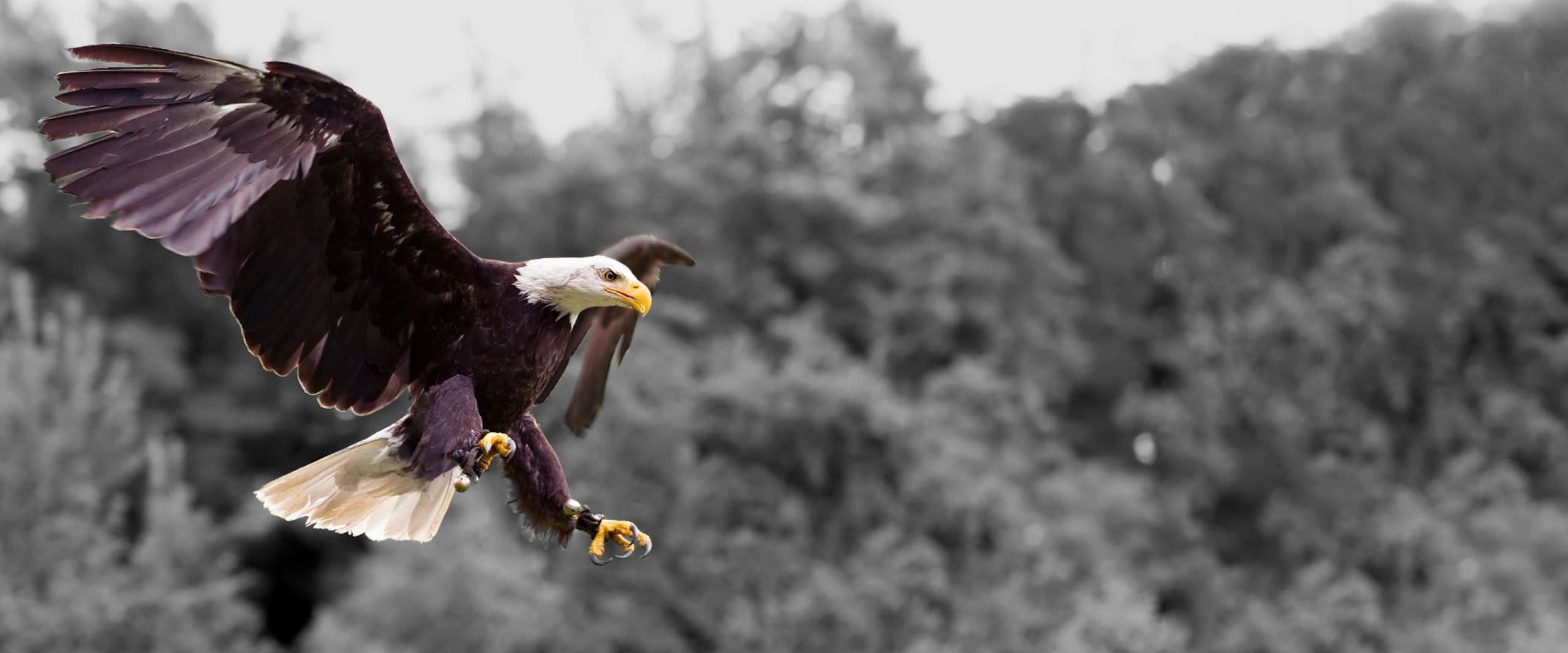 Shawn R. Roberts Trial Lawyer - Shawn R. Roberts Trial Lawyer